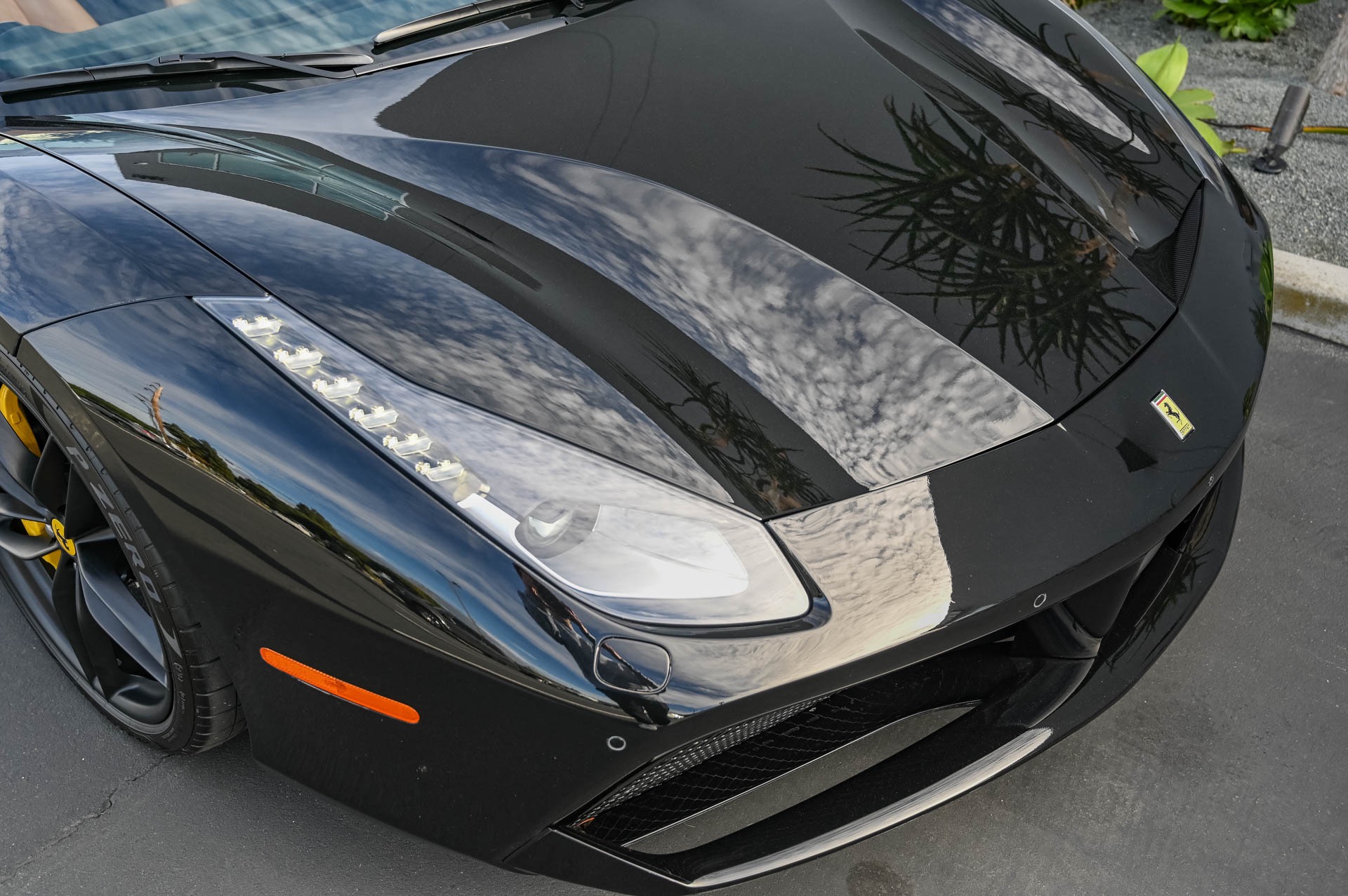 Used 2019 Ferrari 488 Spider For Sale ($359,000) | iLusso Stock #237983