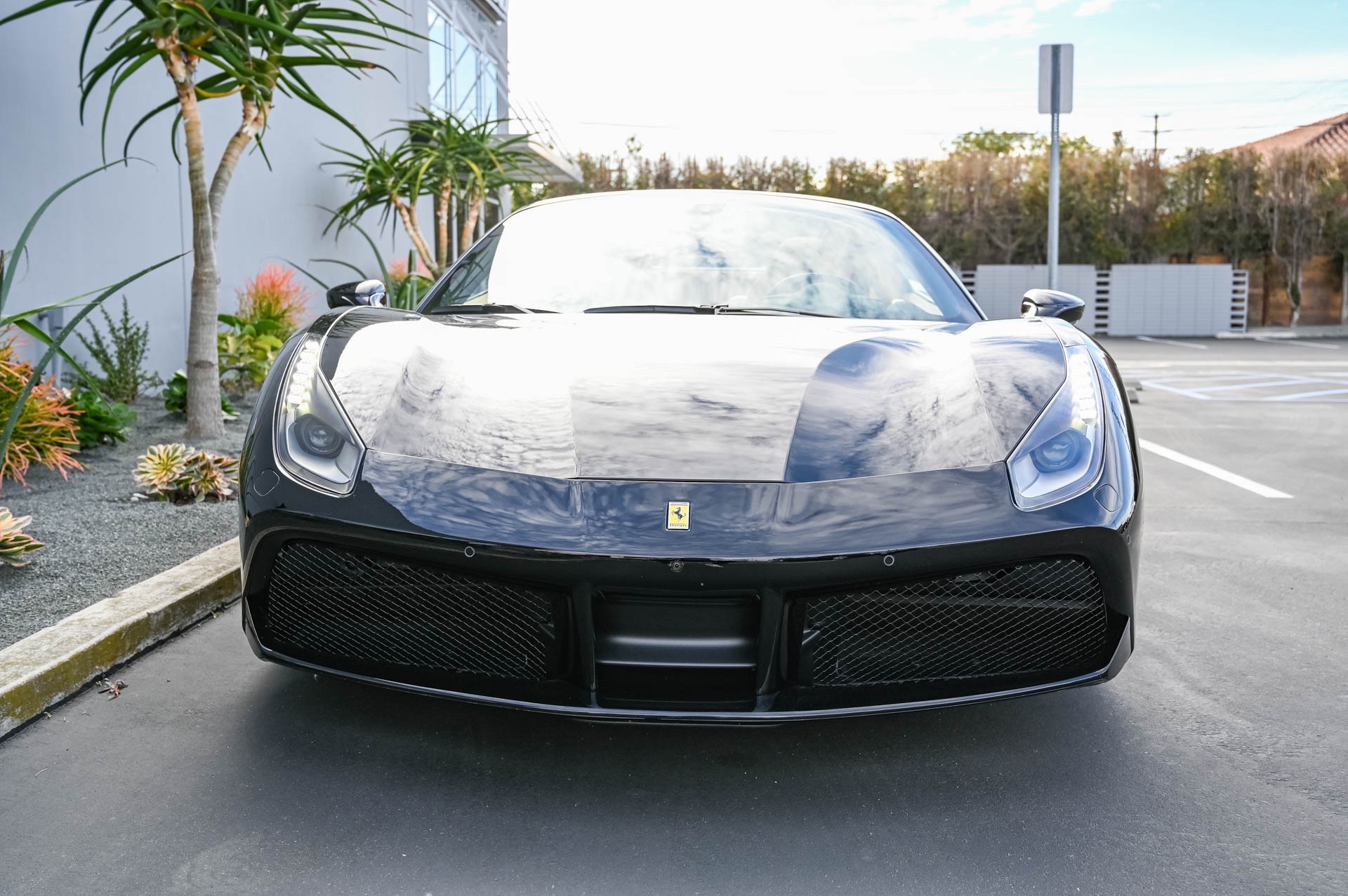 Used 2019 Ferrari 488 Spider For Sale ($359,000) | iLusso Stock #237983